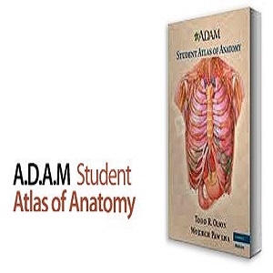 Jual Atlas Anatomy \ADAM Student Atlas of Anatomy untuk mempelajari ...