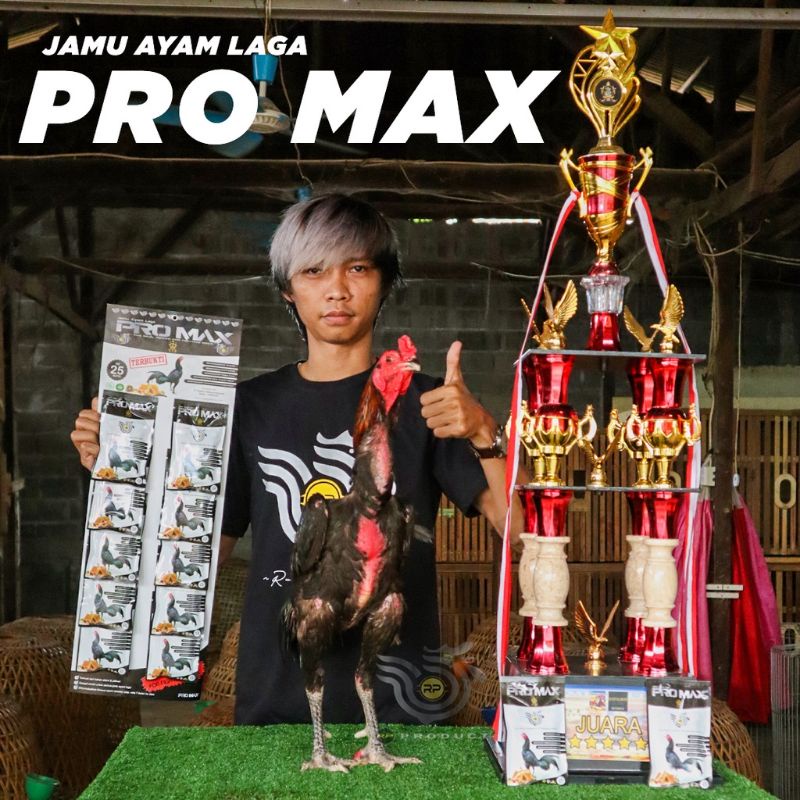 Jual PRO MAX Jamu Rawatan Ayam laga RUBBY PAKHOY | Shopee Indonesia