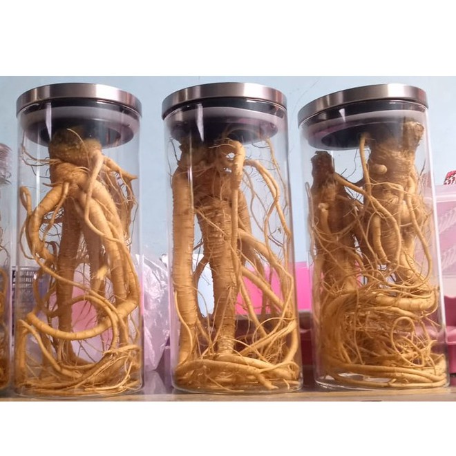 Jual Ginseng Merah Korea + Botol JUMBO 1050 ML(COD) | Shopee Indonesia