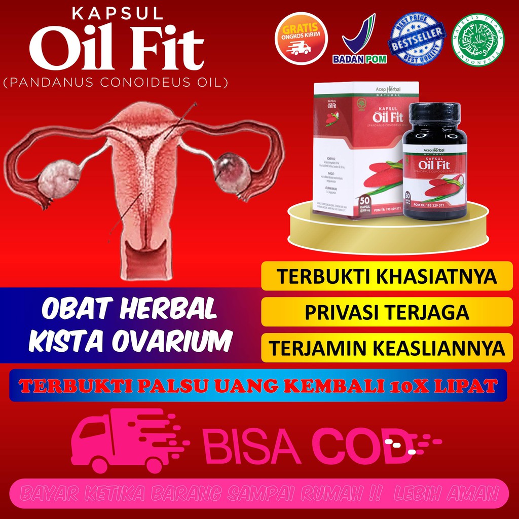 Jual OIL FIT Kapsul Obat Kista Ovarium Obat Kista Coklat Obat Miom Buah ...