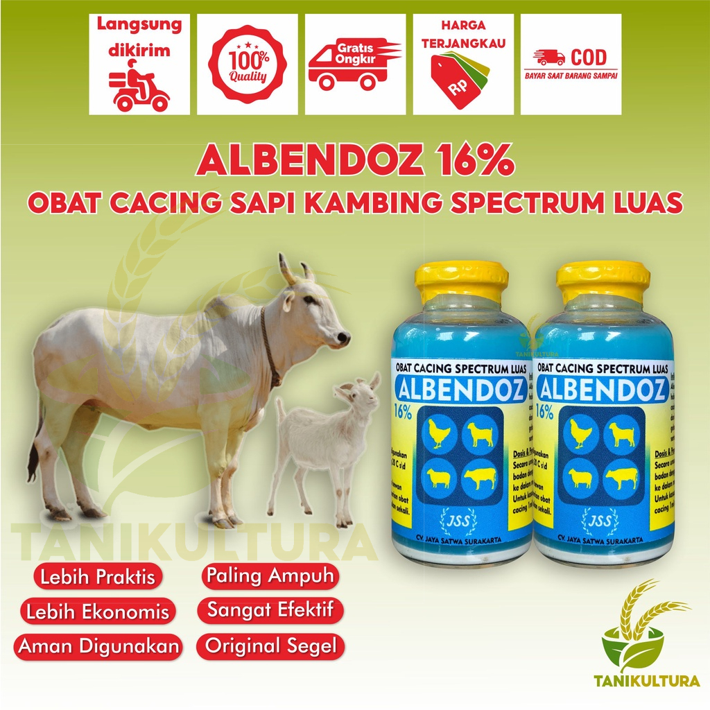 Jual Obat Cacing Sapi Albendoz Ampuh Mengatasi Cacing Pada Hewan Ternak ...