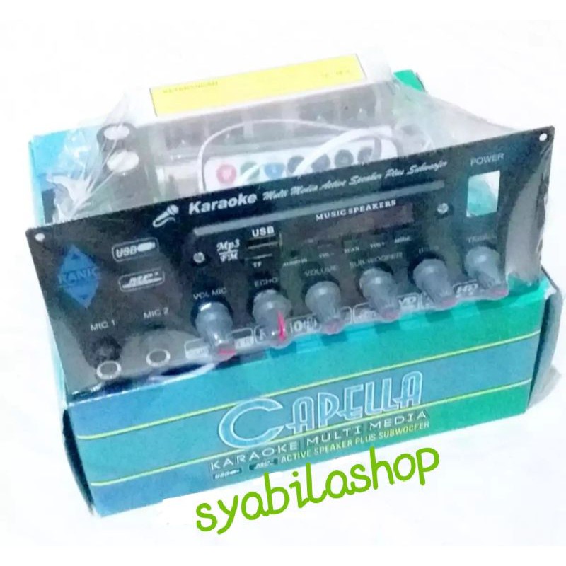 Jual KIT POWER AKTIF SPEAKER KARAOKE MULTIMEDIA CAPELLA PLUS ECHO ...