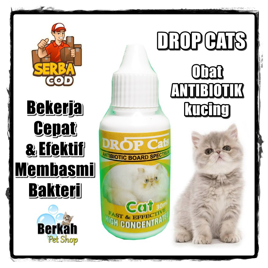Jual Drop Cats Obat Antibiotik Kucing Demam Flu Batuk Infeksi Pencernaan 30 ML | Shopee Indonesia