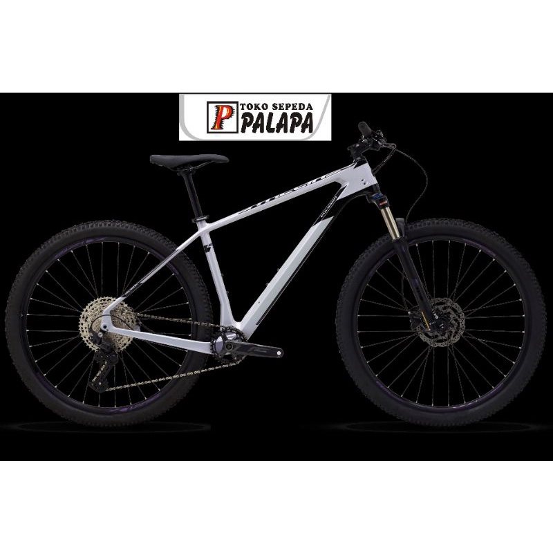 Jual MTB 27.5 & 29 Polygon Syncline C2 C 2 Carbon Sepeda Gunung ...