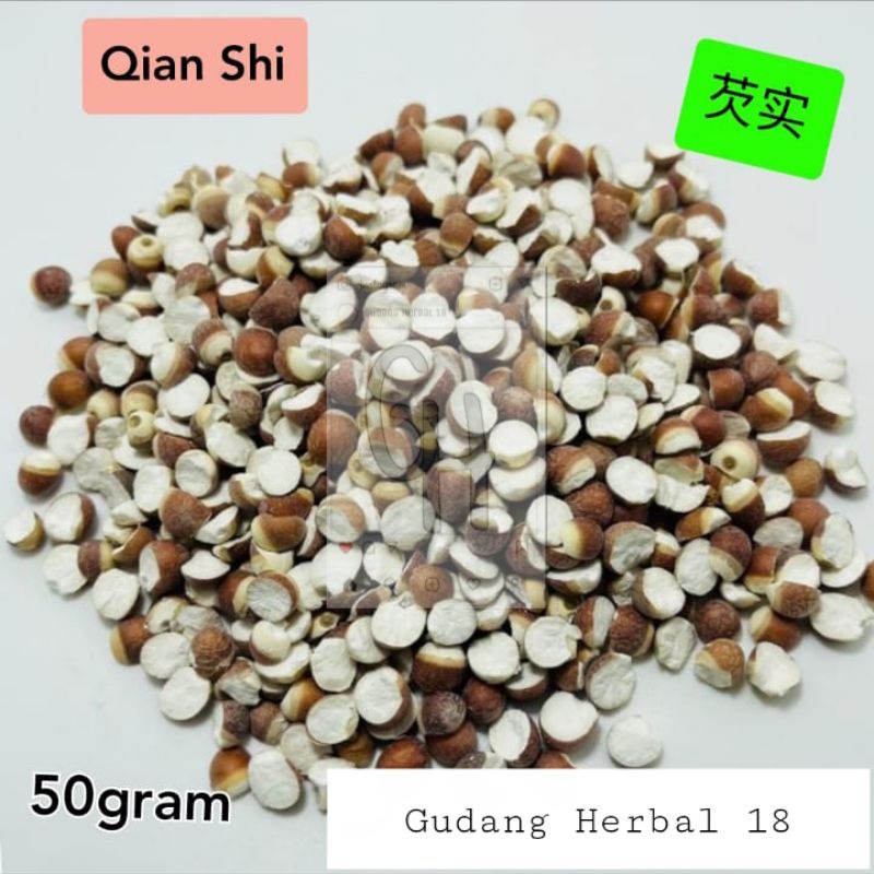 Jual Qian Shi Fox Nut Qianshi Euryale Seed Khiamsik (50g) | Shopee ...