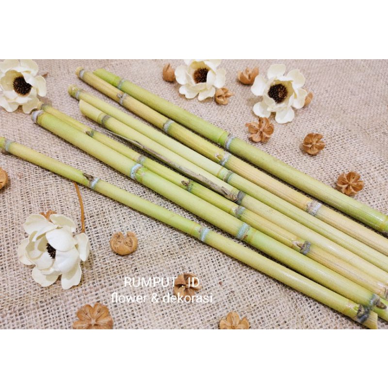 Jual Stick Bambu / bambu Aksesoris Foto Produk / dll | Shopee Indonesia