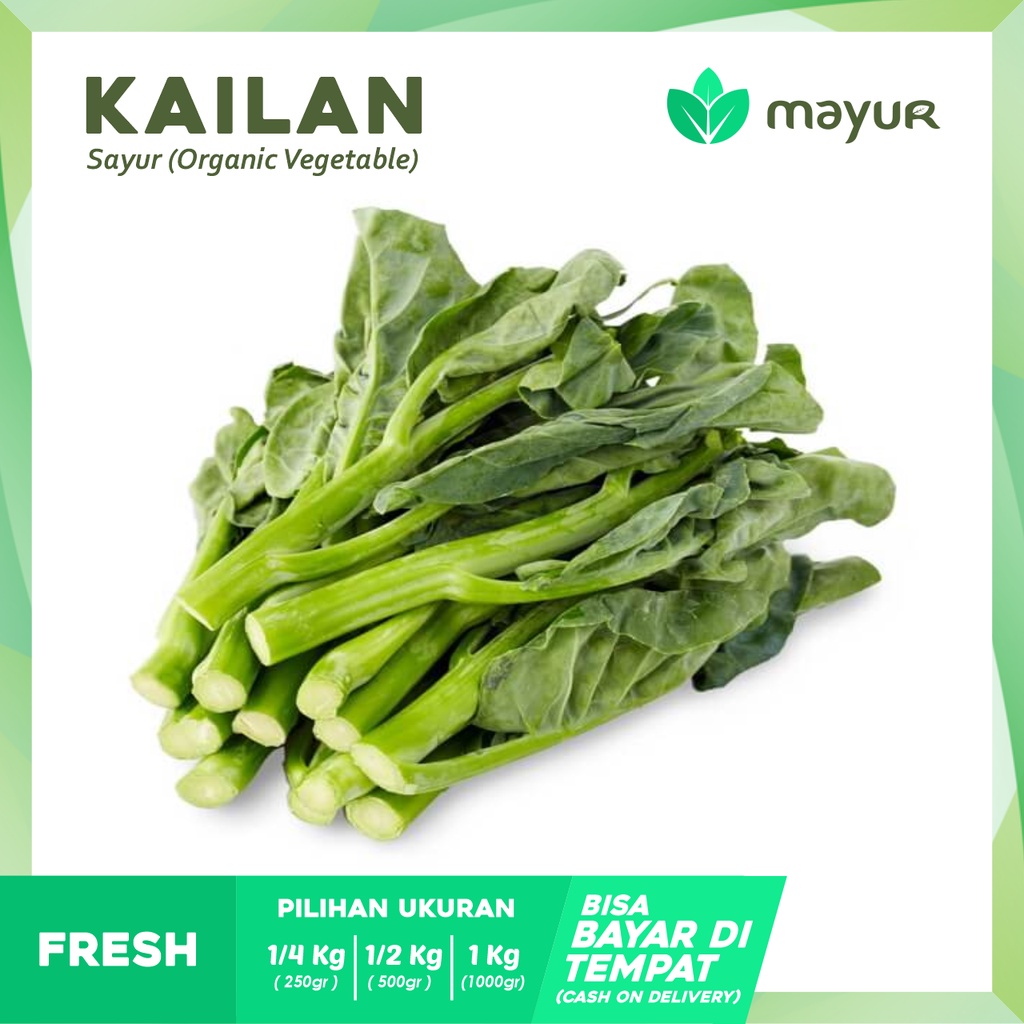 Jual Kailan / Sayur Khailan / Chinese Broccoli ( 250gr | 500gr | 1kg ...