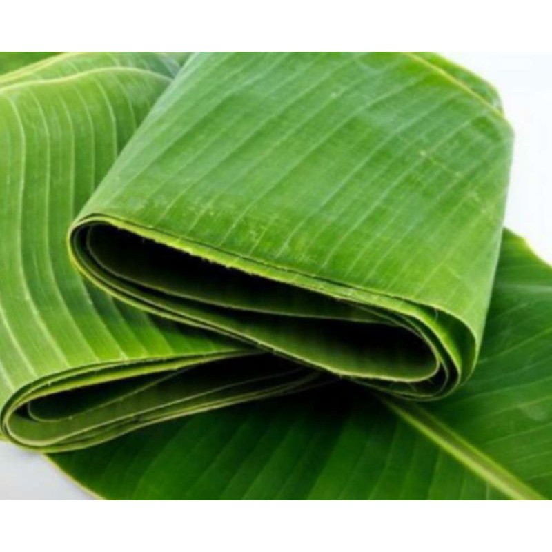 Jual Banana leaf_Daun pisang | Shopee Indonesia