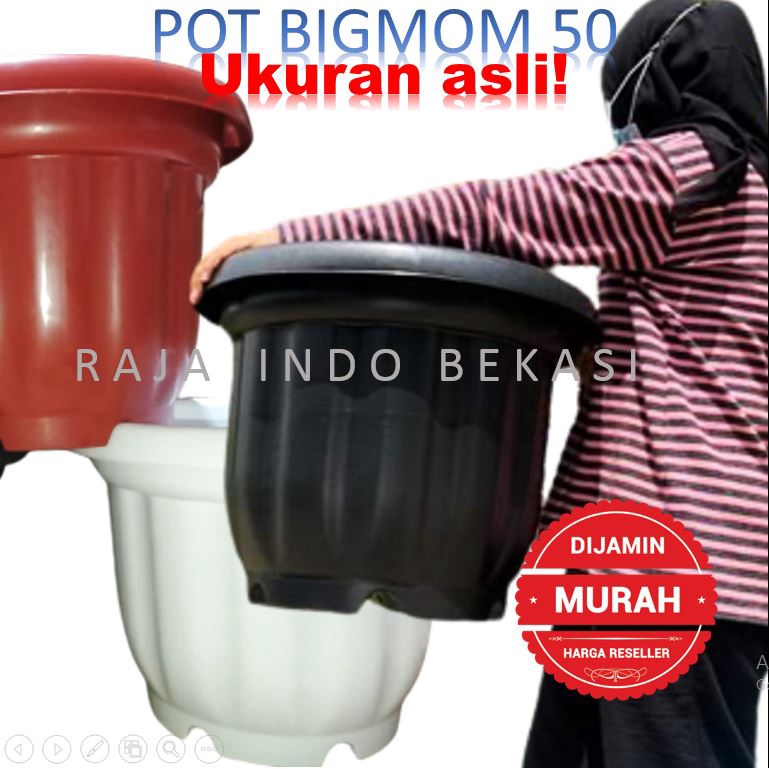 Jual TEBAL & MURAH Pot Kuat 50 55 Putih - Pot Besar Jumbo Murah 50cm ...
