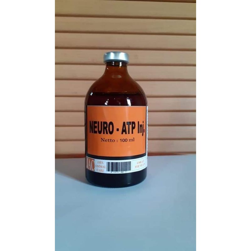 Jual NEURO. ATP(Stamina.Dan.Daya.tahan.tubuh) | Shopee Indonesia