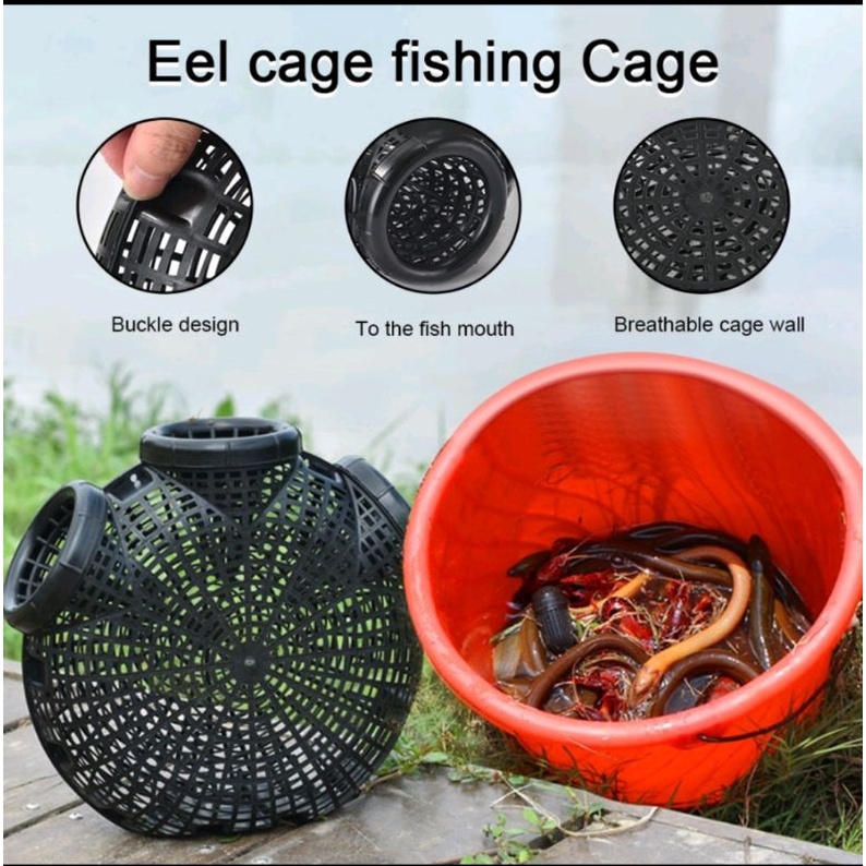 Jual Eel cage fishing cage Perangkap ikan Bubu ikan Wuwu ikan minimalis ...