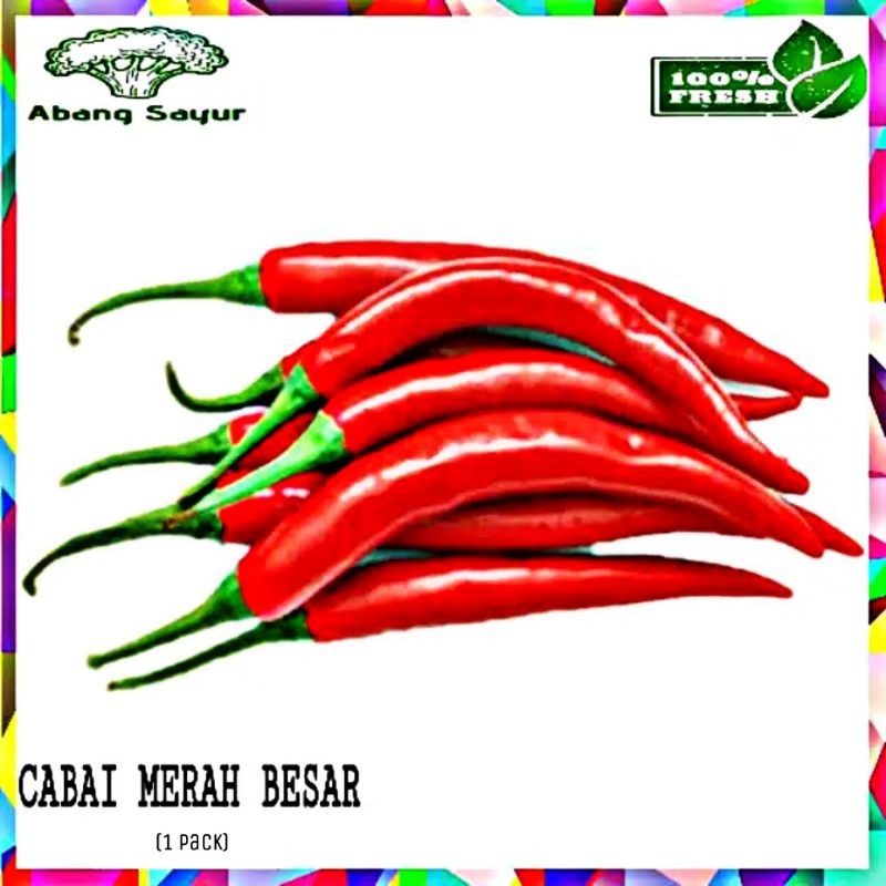 Jual Cabe Merah Tw Besar 100gr | Shopee Indonesia
