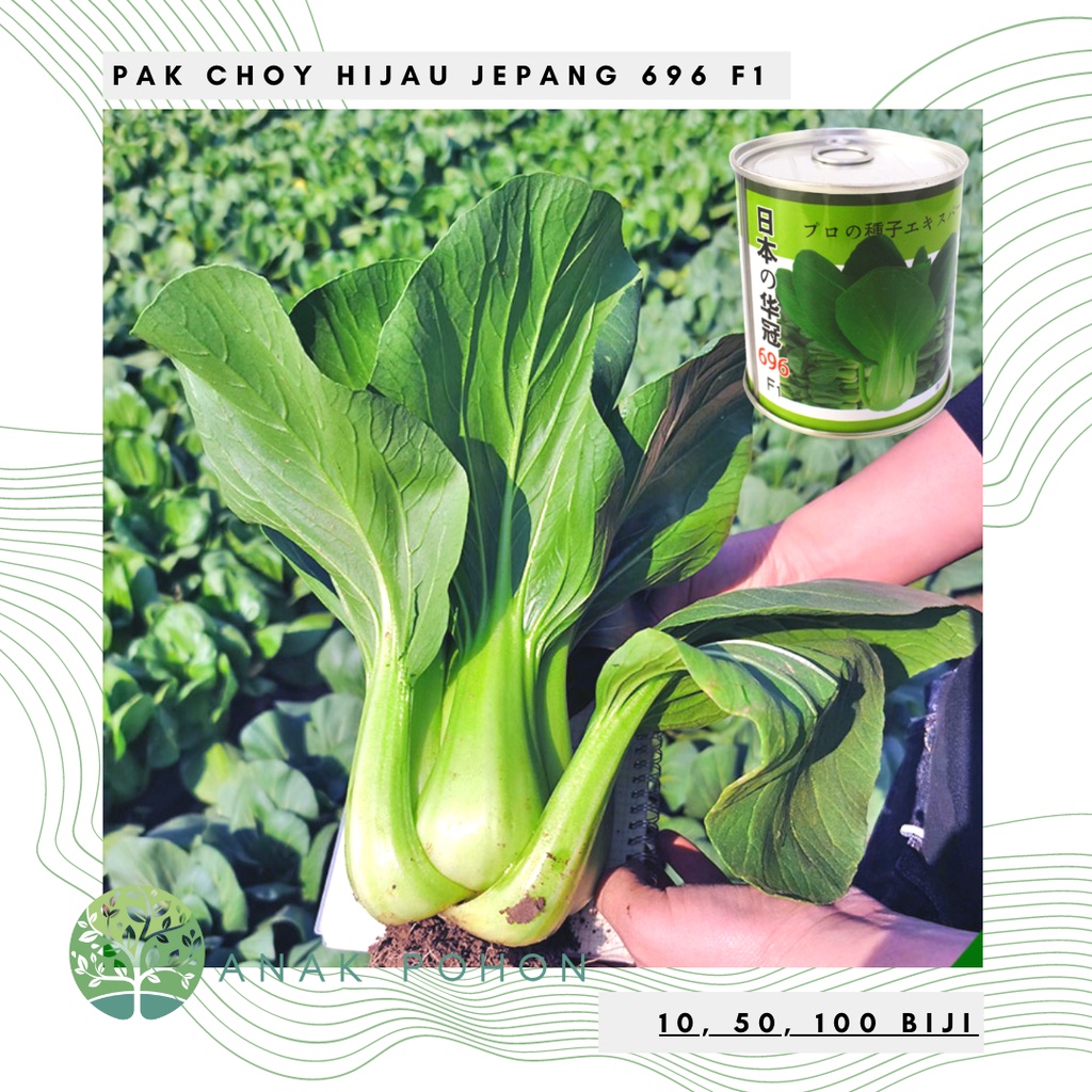 Jual Benih Bibit Biji - Pak Choy Hijau Varietas Mahkota Jepang 696 ...