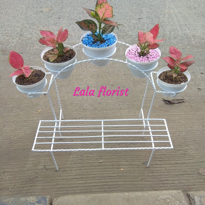 Jual Rak Tanaman - Rak Pot Tanaman Hias | Shopee Indonesia