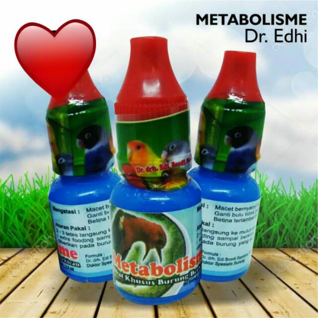 Jual METABOLISME OBAT BURUNG MACET BUNYI DARI dr.EDHI | Shopee Indonesia