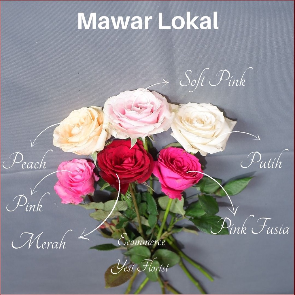Jual bunga asli Mawar lokal || Bunga murah tidak dirangkai || jual ...