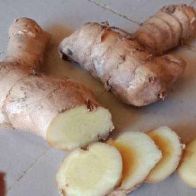 Jual Temu putih / kunyit putih (curcumazedoaria)/ 250gram | Shopee ...