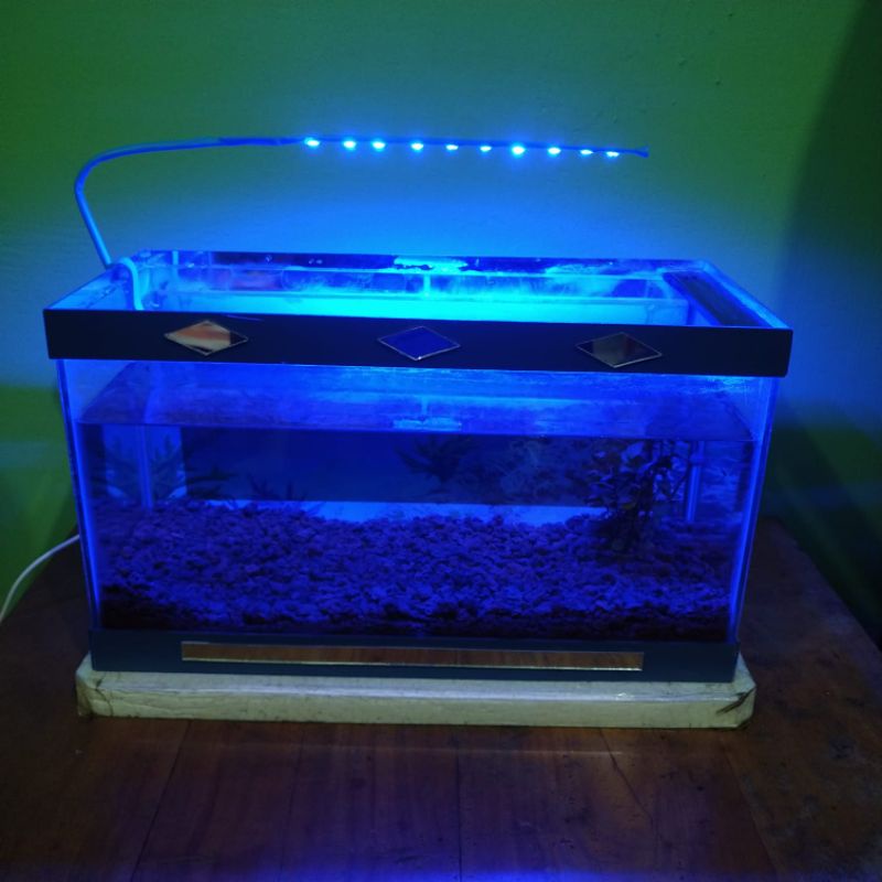 Jual lampu aquarium led warna biru 10 titik | Shopee Indonesia
