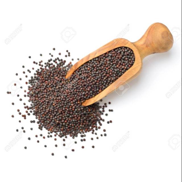 Jual Biji Sawi / Mustard Seeds | Shopee Indonesia