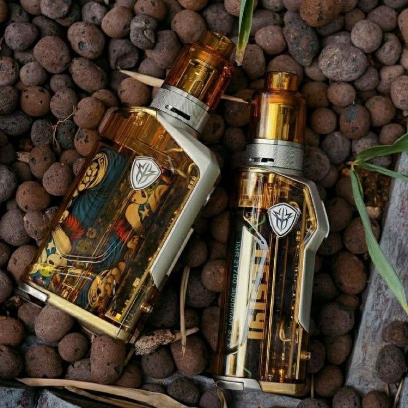 Jual Rincooee Jelly Box Mini 80 W 100% Original | Shopee Indonesia