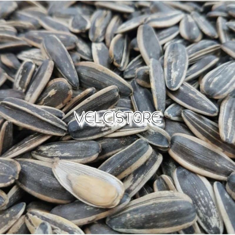 Jual SNACK KUACI MATAHARI ORIGINAL 1KG/500GR/250GR | Shopee Indonesia