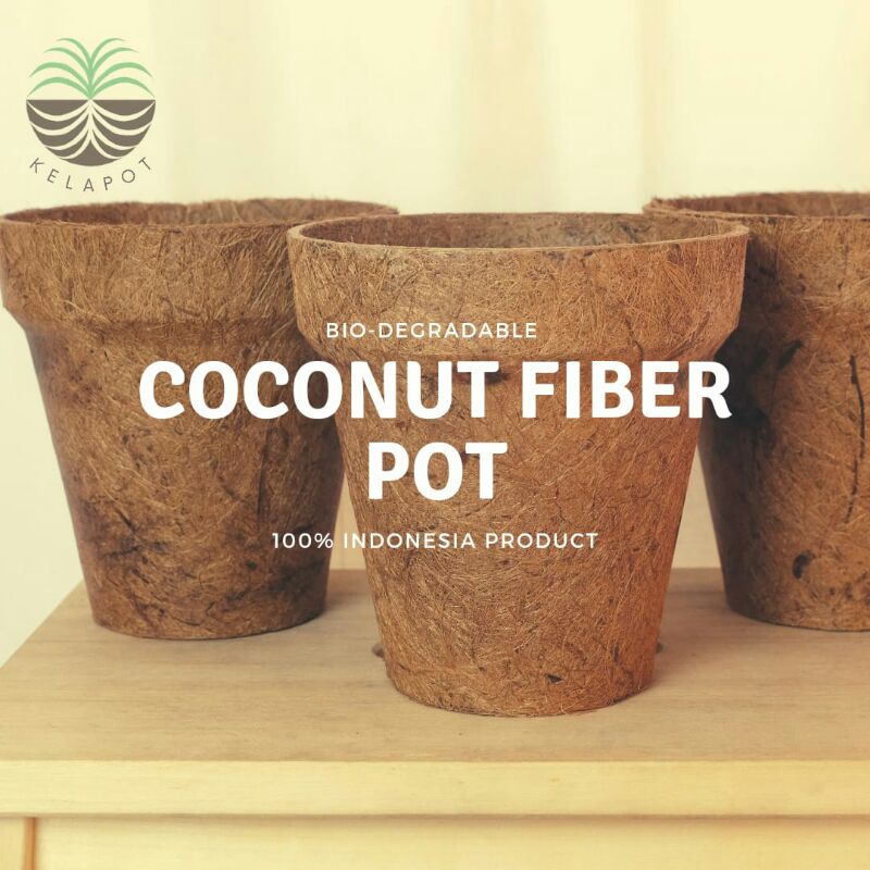 Jual Coconut Fiber Pot | Shopee Indonesia