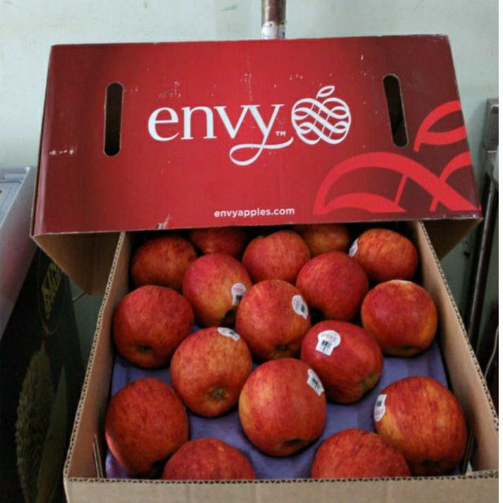 Jual Apple Red Envy NZ Super (per 5pc) | Shopee Indonesia