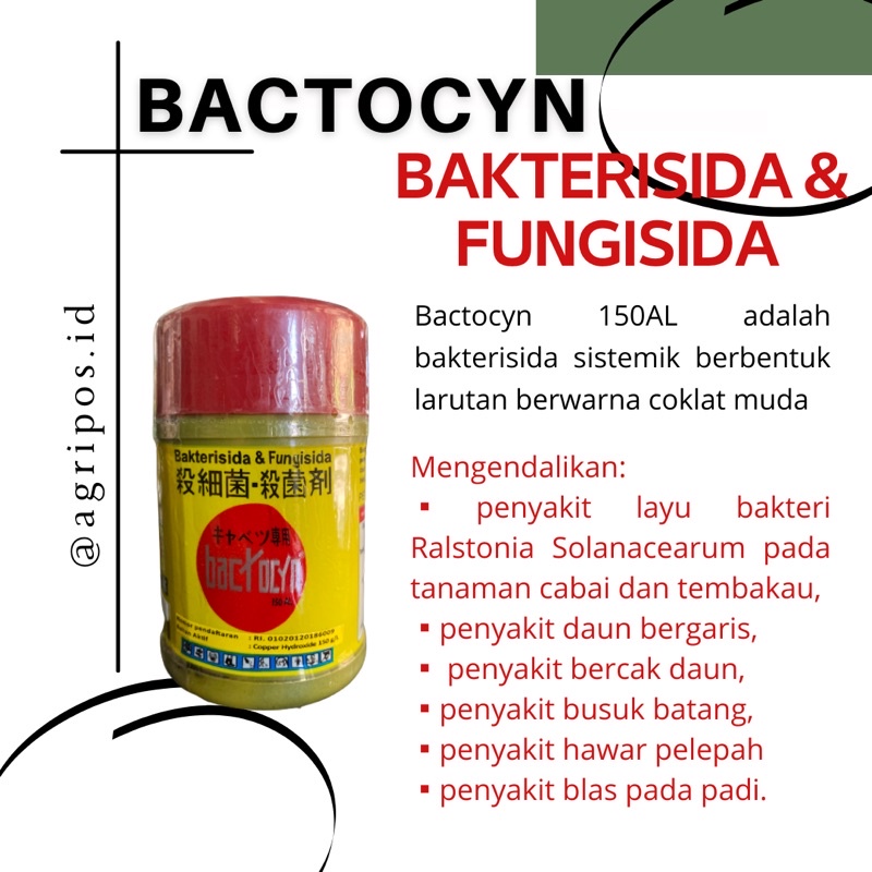 Jual OBAT PENYAKIT BAKTERISIDA DAN FUNGISIDA BACTOCYN PADA TANAMAN 100 ...