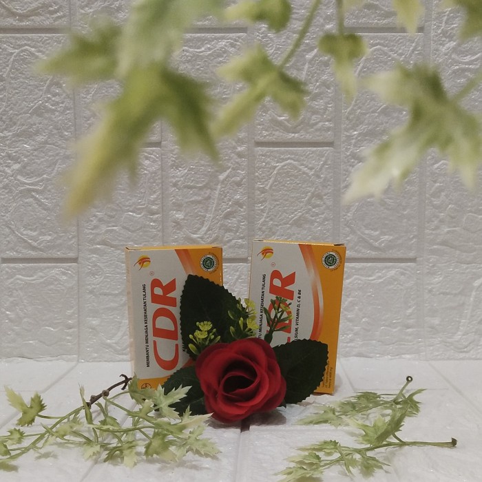 Jual cdr isi 20 tablet /cdr twinpack | Shopee Indonesia