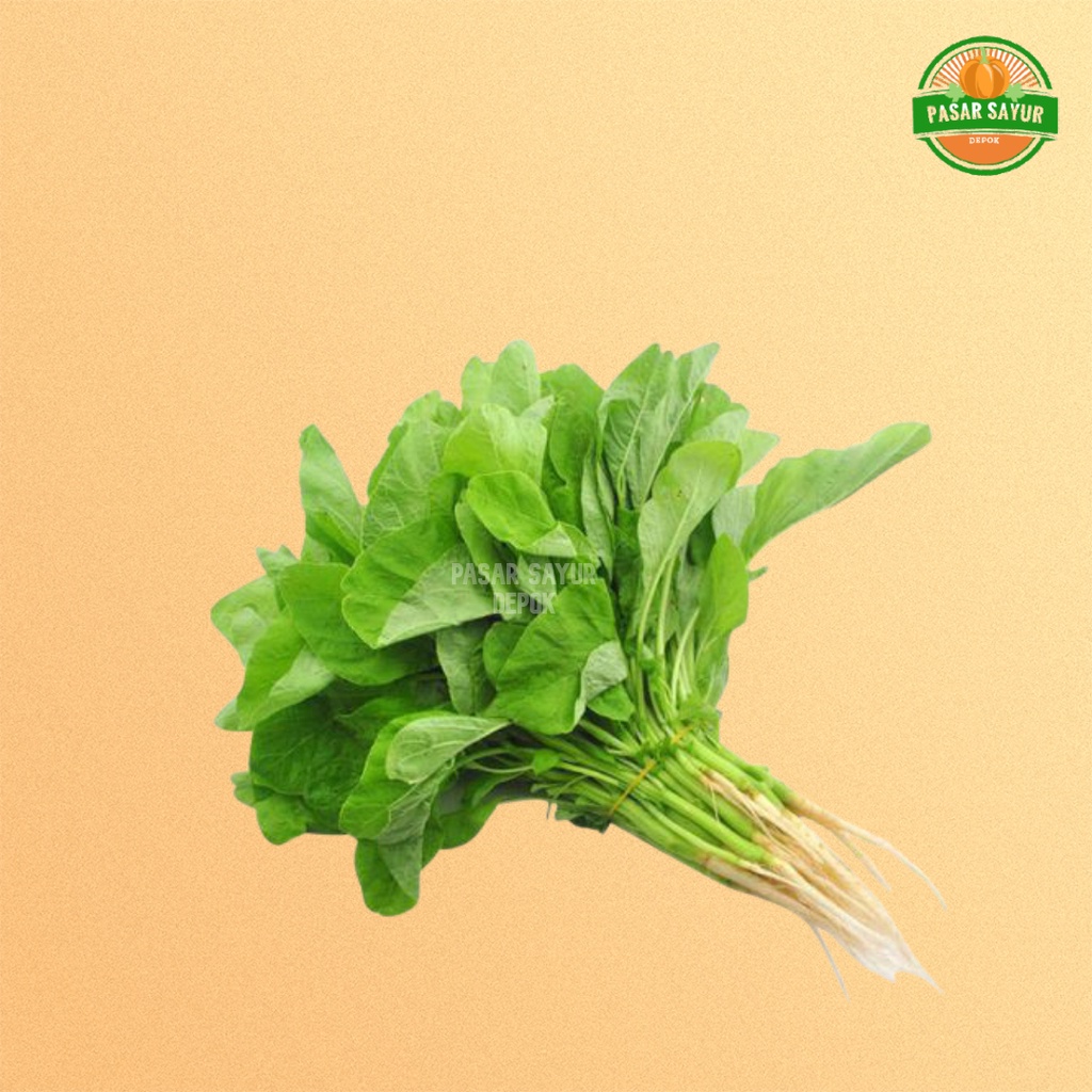 Jual BAYAM HIJAU SEGAR / SAYUR BAYAM ( 150gr ) | Shopee Indonesia