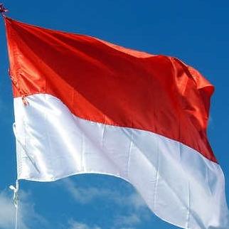 Jual Buruan beli] Bendera Merah Putih 100 cm x 150 cm Satin ( Premium ...