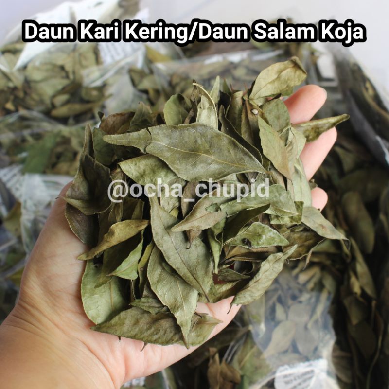 Jual Daun Kari Kering / Salam Koja | Shopee Indonesia