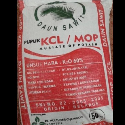Jual Pupuk KCL / MOP Daun Sawit 50kg - Muriate Of Potash Origin ...