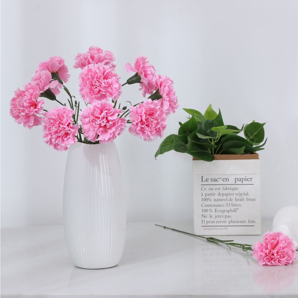 Jual Setangkai Bunga Anyelir Carnation Tanaman Hias Bunga Carnation ...