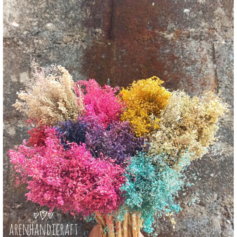 Jual ARENHANDICRAFT Bunga Dried Flower baby birth perbuket | Shopee ...