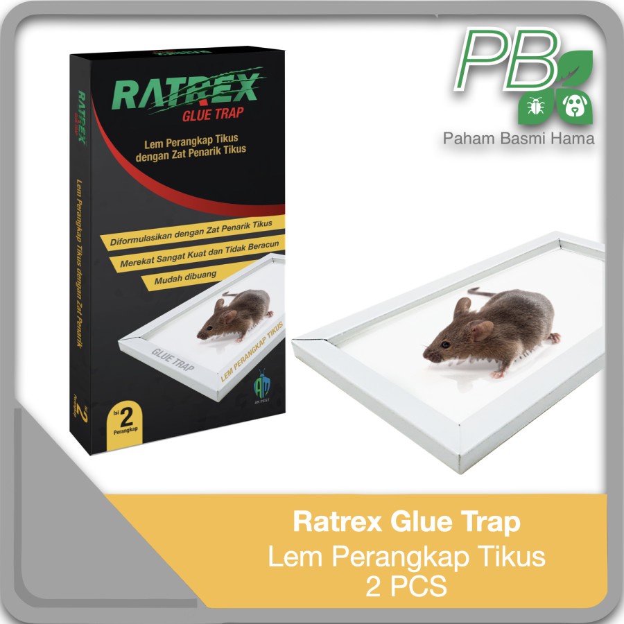 Jual Ratrex Glue Trap - Lem Perangkap Tikus - isi 2 Perangkap - 80 gram ...