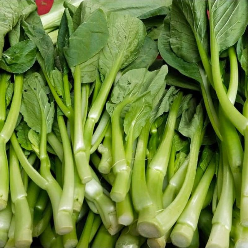 Jual SAYUR CAISIM MANIS/SAWI CAISIM PER BUNGKUS 300GRAM. | Shopee Indonesia