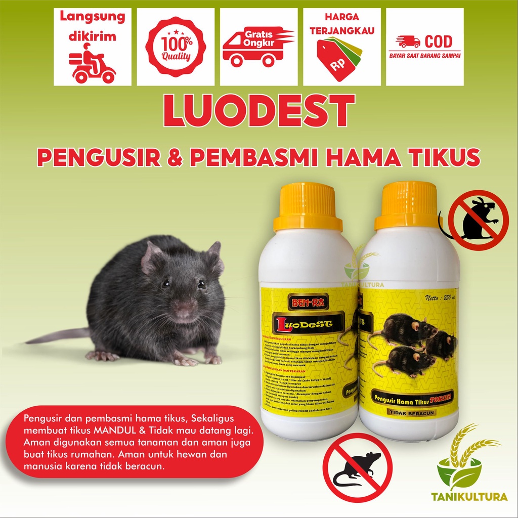 Jual Loudest Pengusir Tikus Ampuh Sekaligus Membuat Tikus Mandul ...
