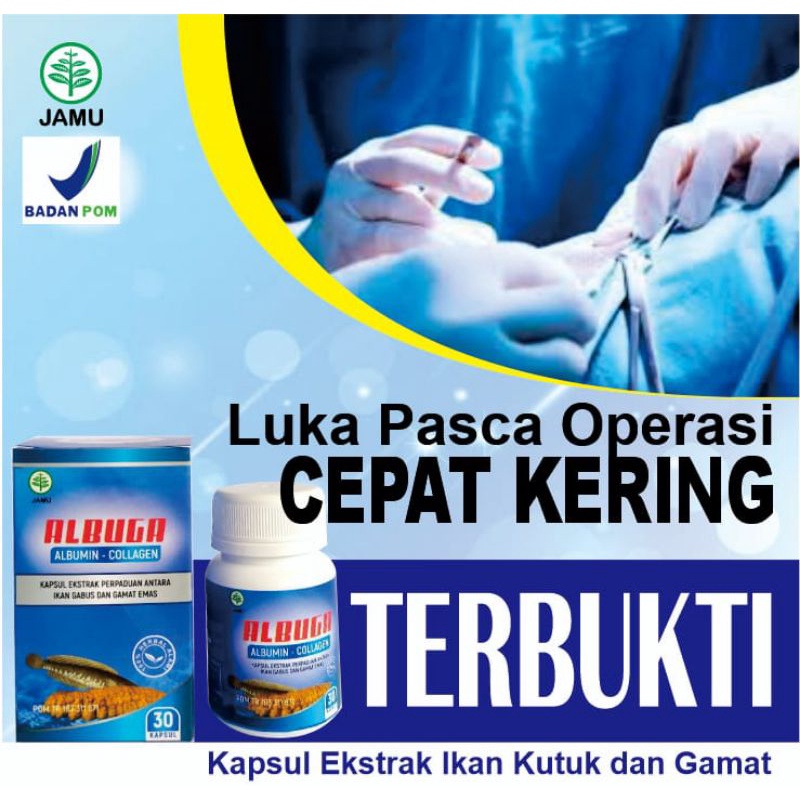 Jual ALBUGA KAPSUL ALBUMIN COLLAGEN/EKSTRAK IKAN KUTUK PLUS GAMAT EMAS/ISI 30 KAPSUL | Shopee ...