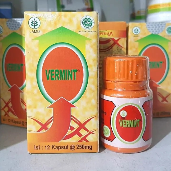 Jual Obat Tipes Cacing Vermint Kapsul Cacing Obat Cacing Tanah Vermint ...