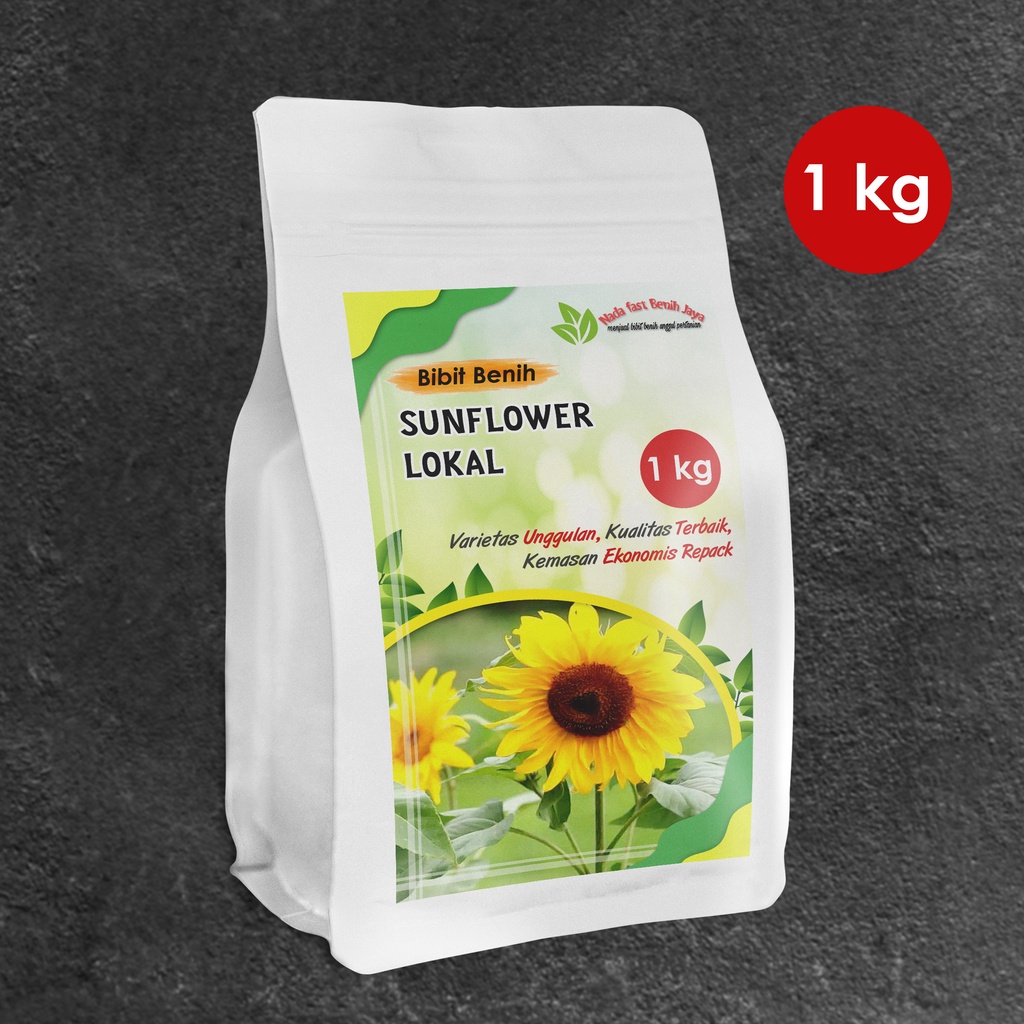 Jual Benih bunga matahari 1 kg benih tanaman bunga sunflower | Shopee ...