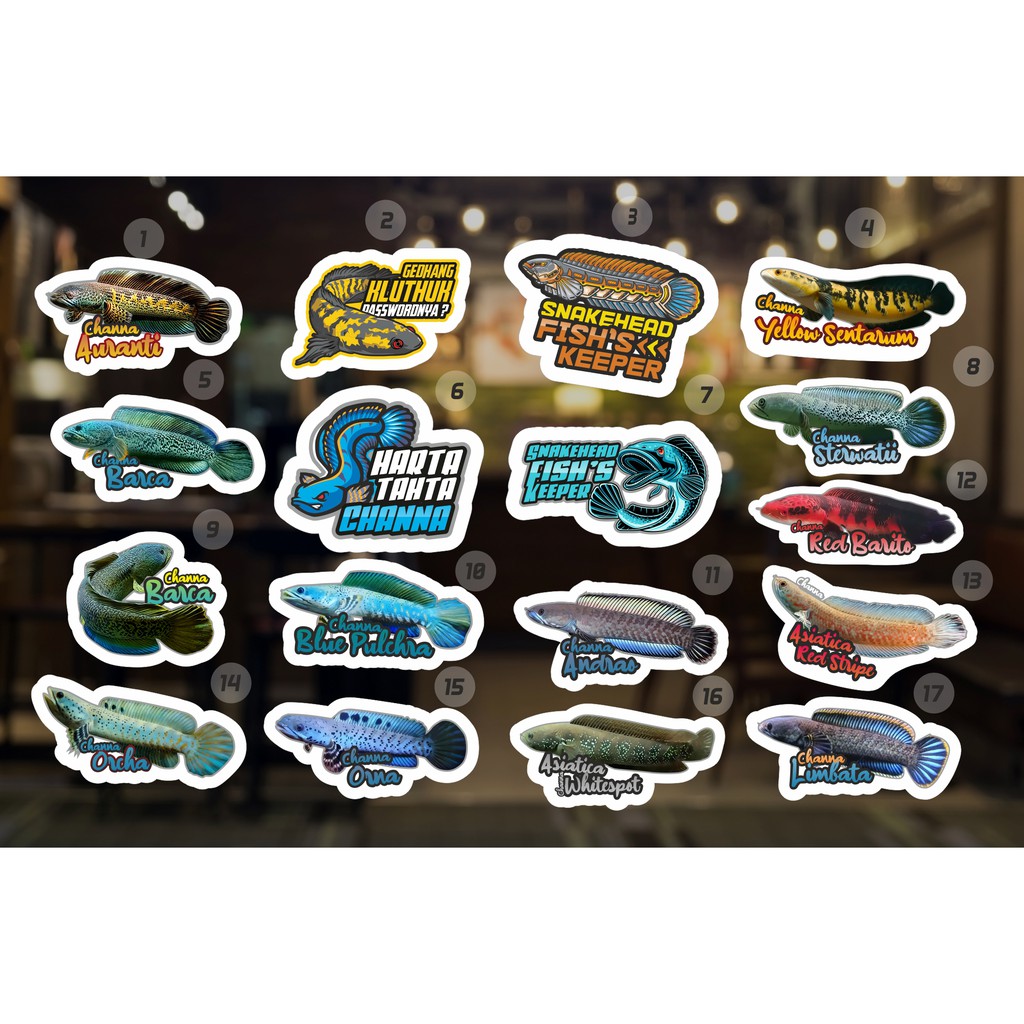 Jual Sticker Stiker Aquarium Channa Snakehead (Terlengkap) | Shopee ...