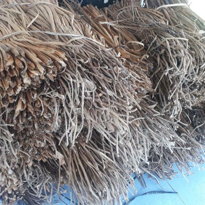 Jual 1kg batang eceng gondok/bahan placemat enceng rawa/ECENG GONDOK ...