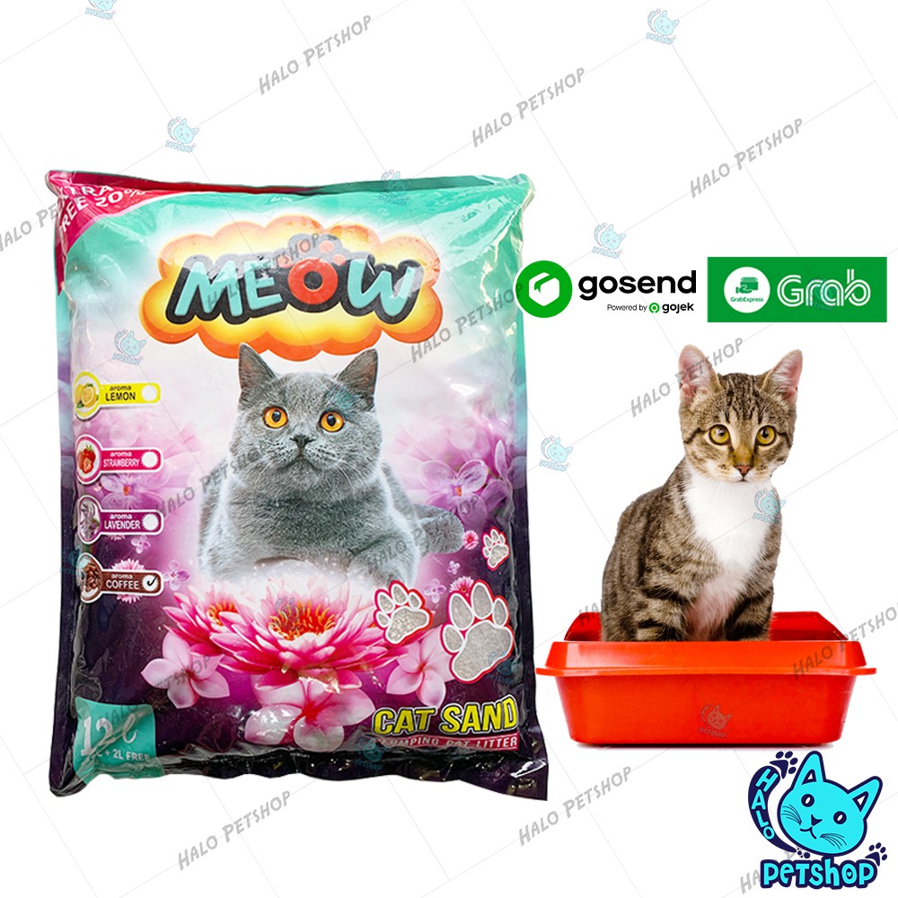 Jual MEOW Cat Sand 12L Pasir Kucing Wangi Gumpal (Pengiriman Khusus ...