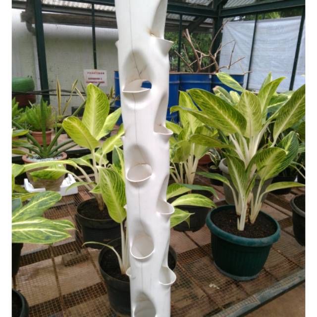 Jual Pot halaman Pipa Paralon | Shopee Indonesia