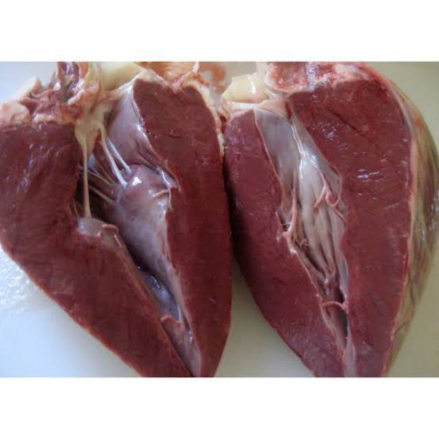 Jual jantung sapi 500gram(lokal) | Shopee Indonesia