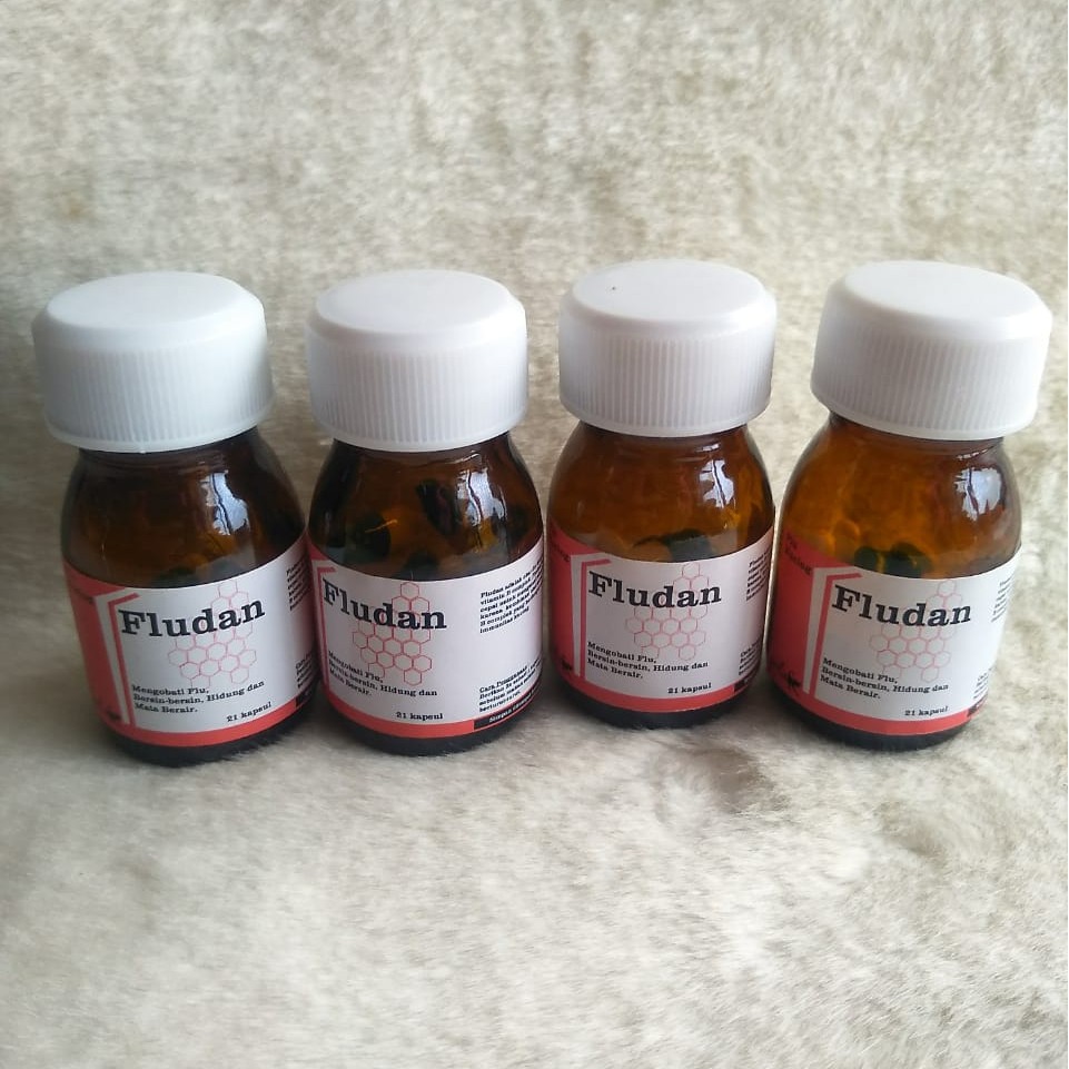 Jual FLUDAN - OBAT FLU KUCING - KAPSUL | Shopee Indonesia