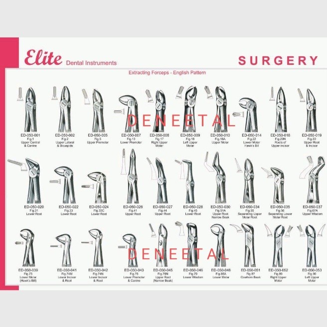 Jual Molar Upper / Lower ELITE TANG CABUT GIGI / DENTAL TOOTH ...