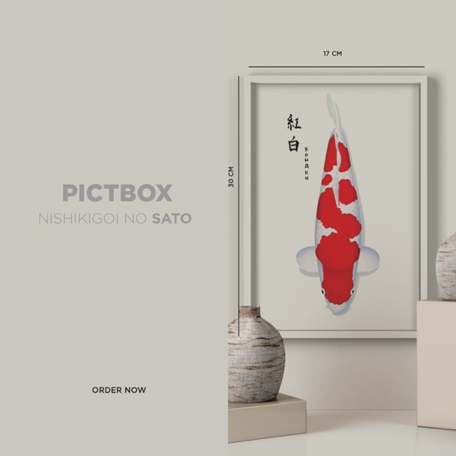 Jual PICTBOX KOHAKU INAZUMA | Shopee Indonesia