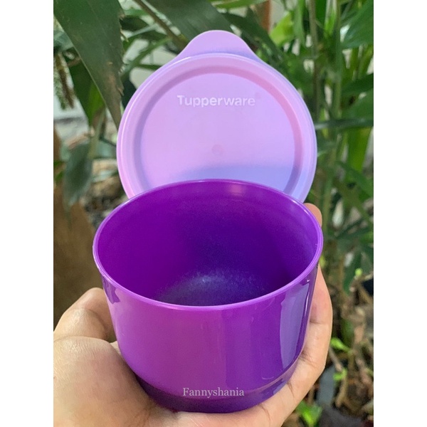 Jual PETITE TRAVEL CUPS (1) / TUPPERWARE LIMITED | Shopee Indonesia